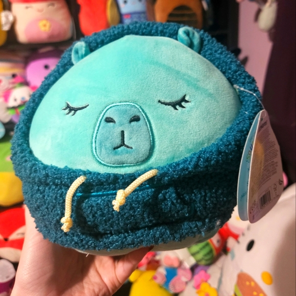 Squishmallows | Toys | Nwt Nastia The Jade Tonal Capybara With Teal ...